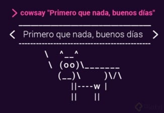41 comandos de la terminal que debes conocer